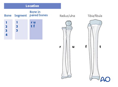Classification of children’s fractures