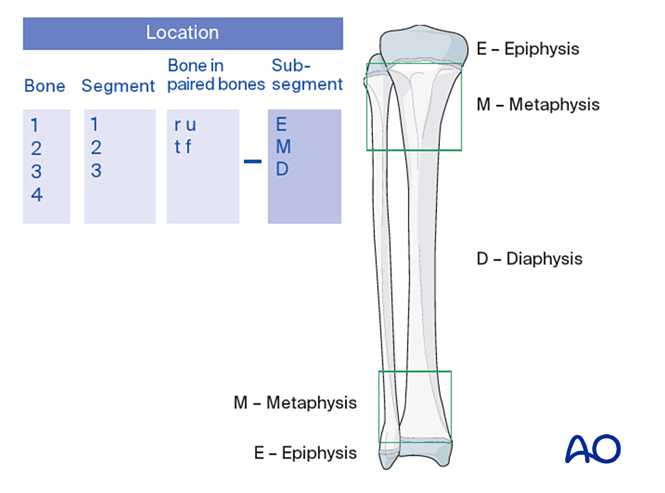 Classification of children’s fractures