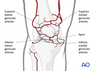 Mid-axial longitudinal approach to the patella