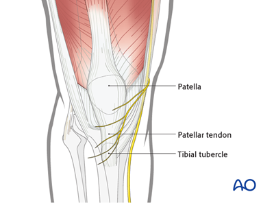 Mid-axial longitudinal approach to the patella