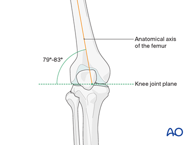 Intraoperative imaging of the patella
