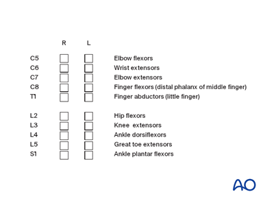 Neurological examination