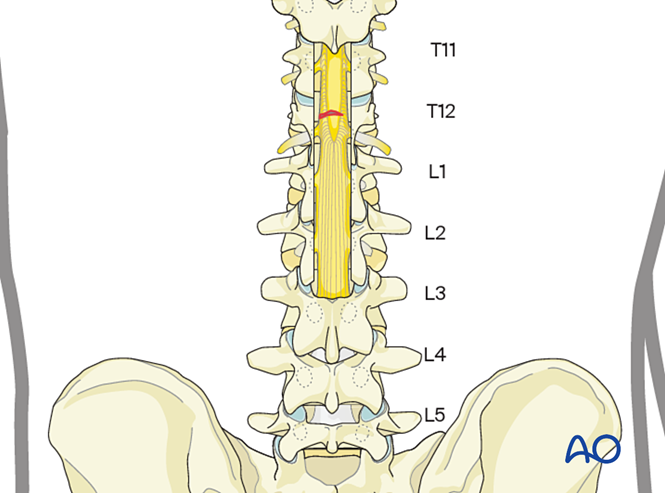 Neurological examination