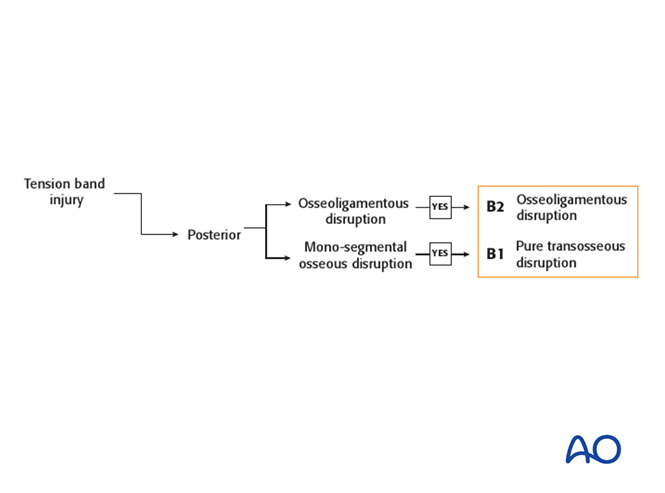AO Spine thoracolumbar injury classification system