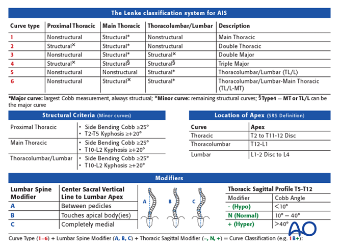 Lenke classification
