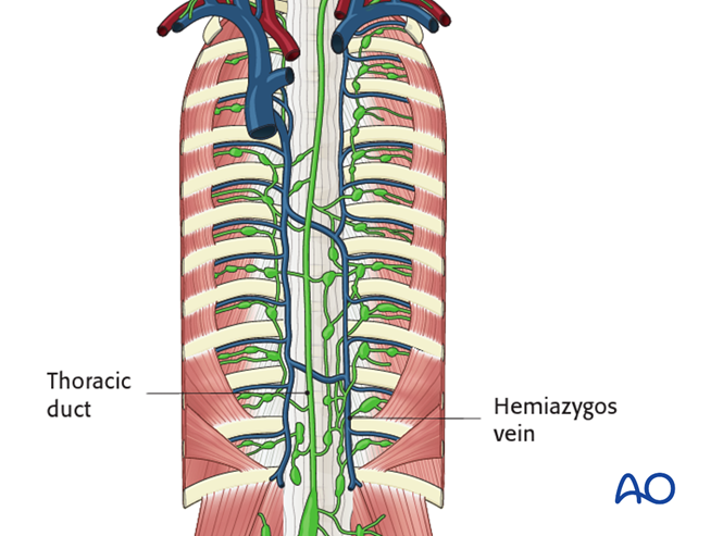 Minimally invasive left side thoracic approach