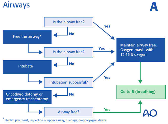 Airway for Primary survey