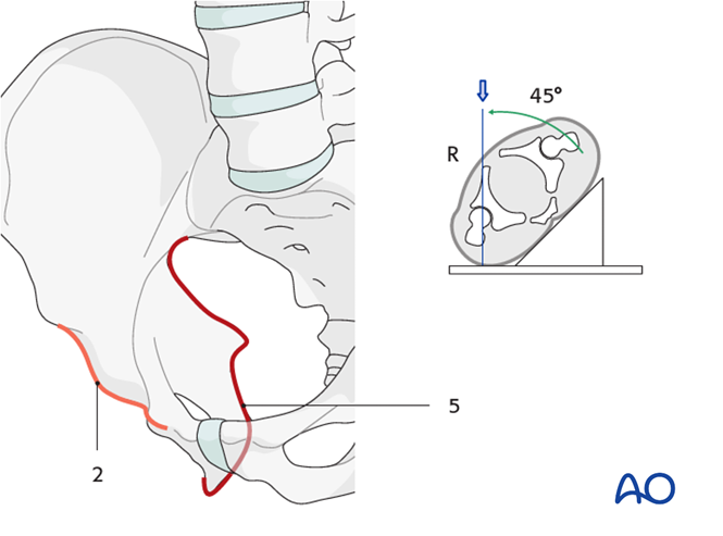 Patient assessment and diagnosis