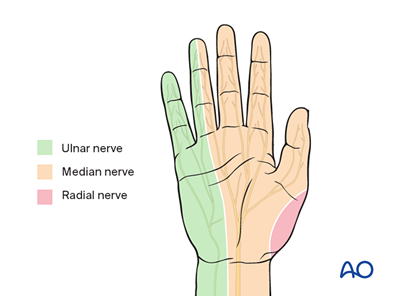 Ulnar and median nerve lesions