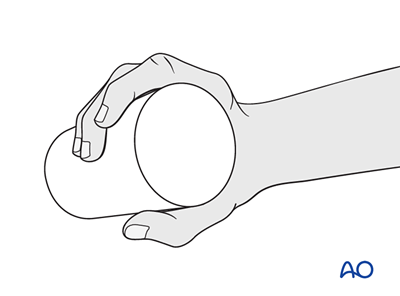 Functional anatomy and biomechanical concepts in the hand