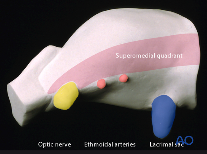 Periorbital dissection - Introduction