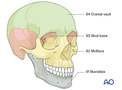 AOCMF Classification Midface (Level 1 and 2)