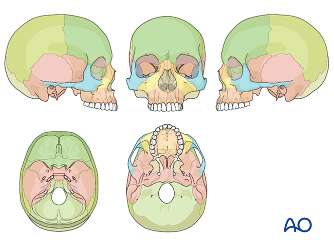 AOCMF Classification Midface (Level 1 and 2)
