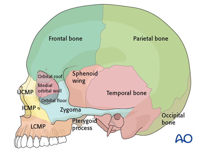 Cranial vault fracture