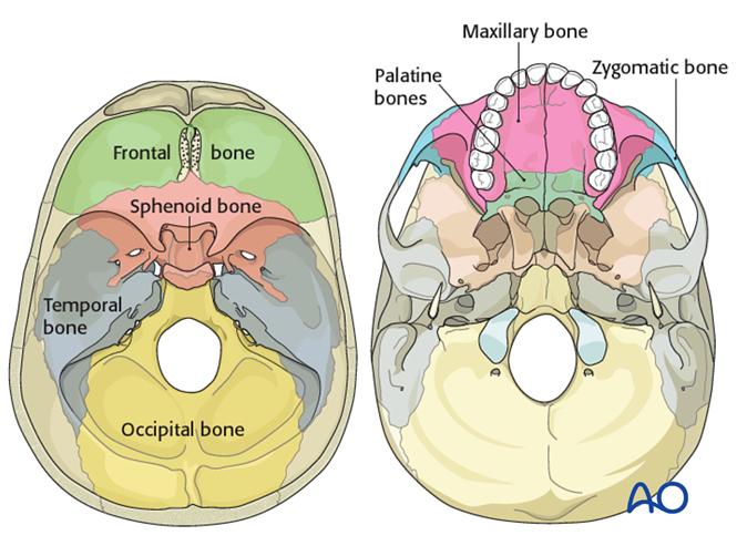 Skull base fracture, posterior