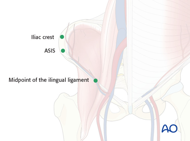 Iliac crest