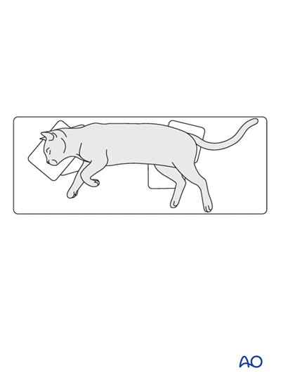 Lateral recumbency position