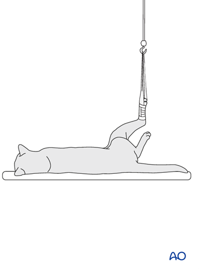 Lateral oblique recumbency