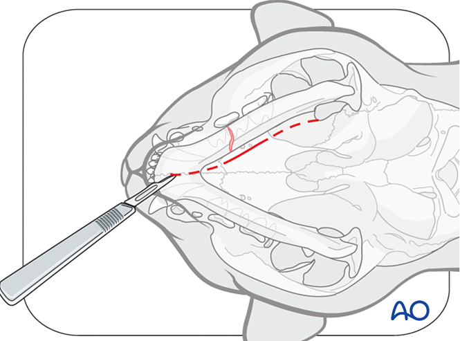 Ventral approach to mandibular body
