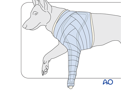 Nonoperative treatment for Incomplete fracture of the dog humeral diaphysis