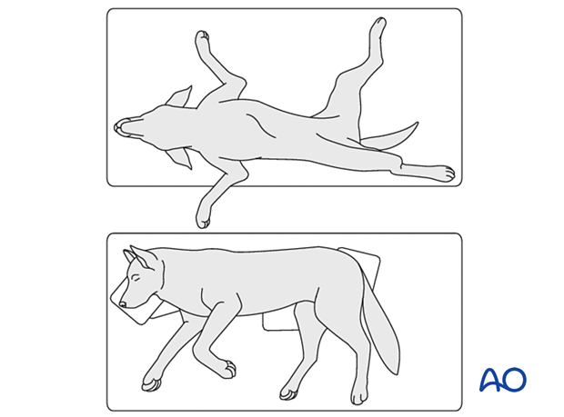 Lag screw and buttress plate fixation for Lateral simple partial ...