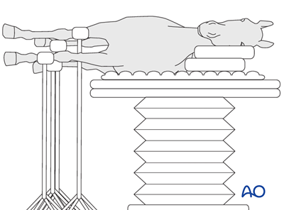 Lateral recumbency