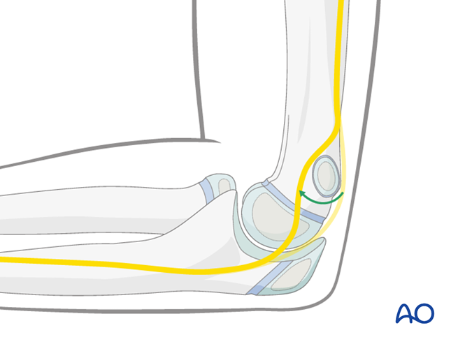 Anatomy of the elbow