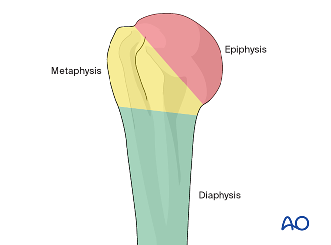 Shoulder implant configurations