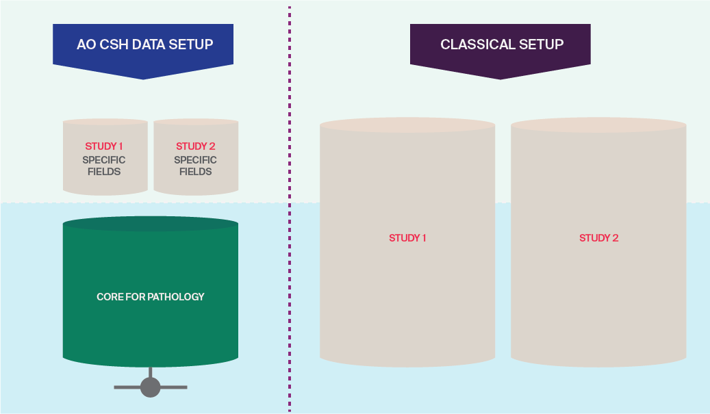 AO Clinical Study Hub
