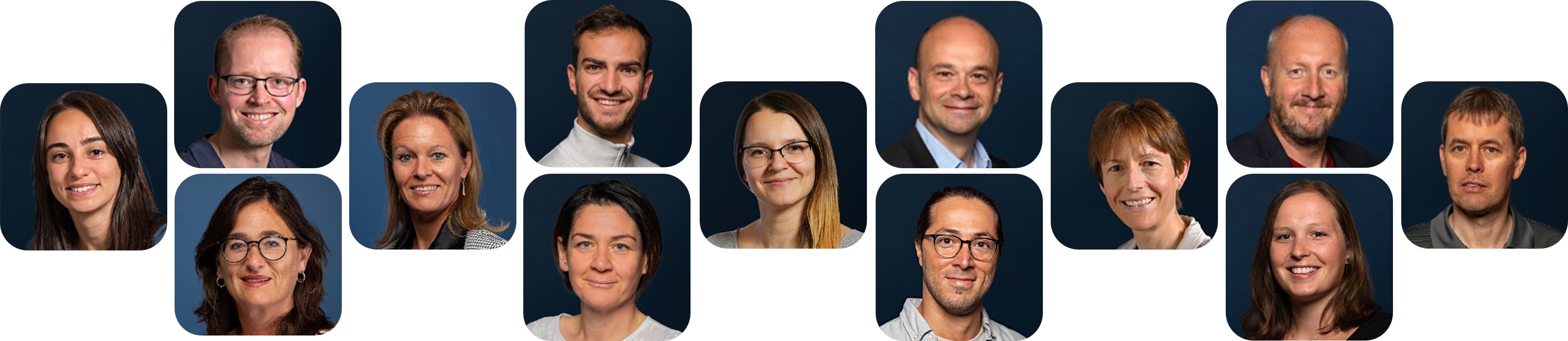 Diversity and inclusion