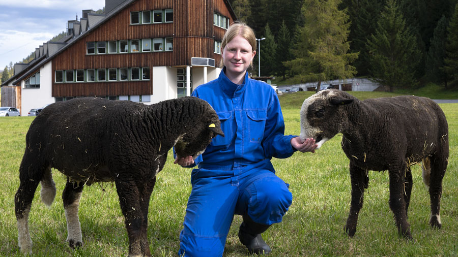 Lehrstellen bei der AO Foundation