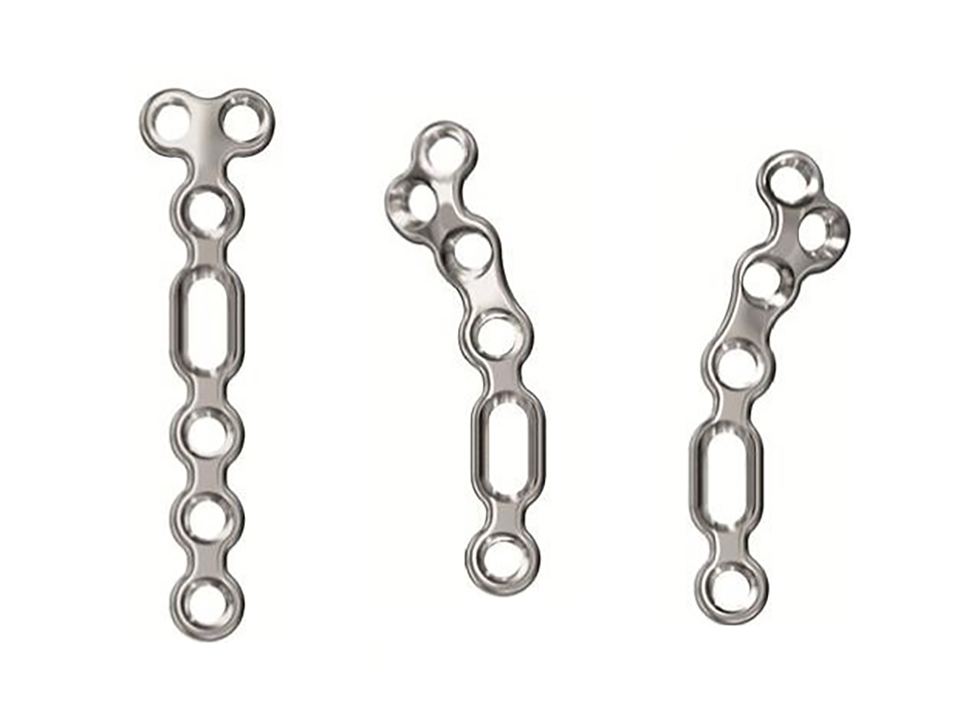 1.3 Locking System for veterinary use