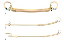 Vertical Expandable Prosthetic Titanium Rib (VEPTR)