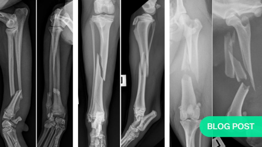 Using fracture assessment to inform implant decision-making and ...