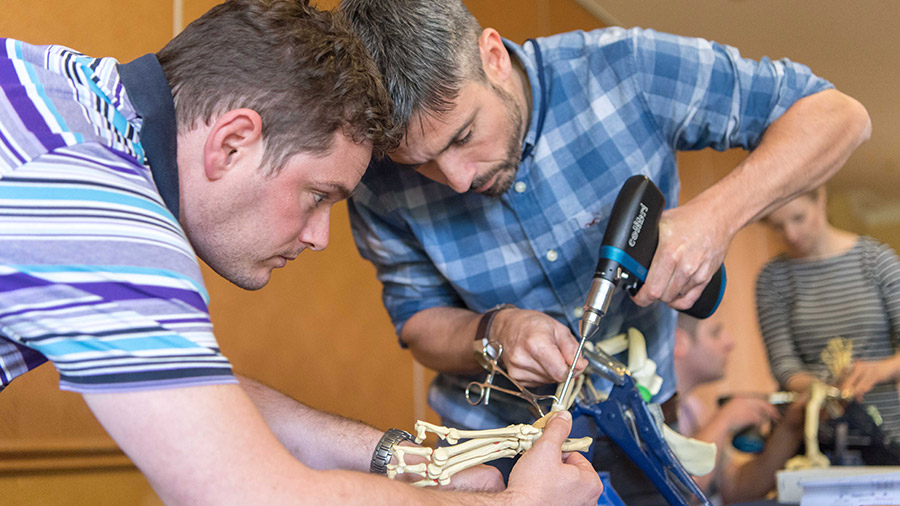 AO VET Course—Advanced Techniques in Small Animal Fracture Management